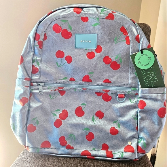 STATE | Accessories | Nwt State Kane Kids Large Backpack Metallic Blue ...